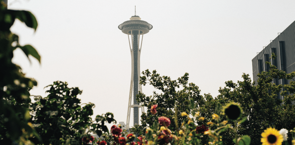 Trending: Floral Flavors – Fulcrum Coffee Roasters