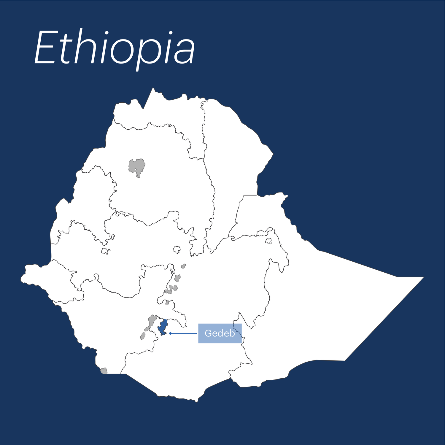 Ethiopia Wuri Yirgacheffe – Fulcrum Coffee Roasters